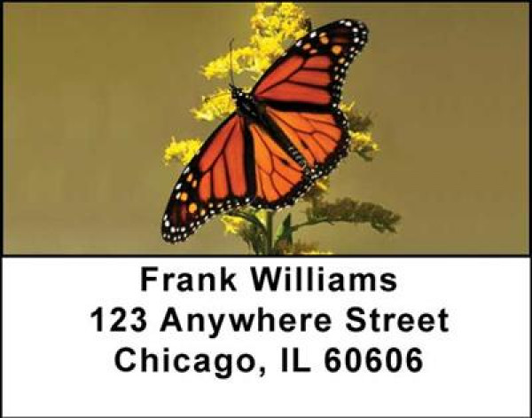Monarch Butterflies Address Labels